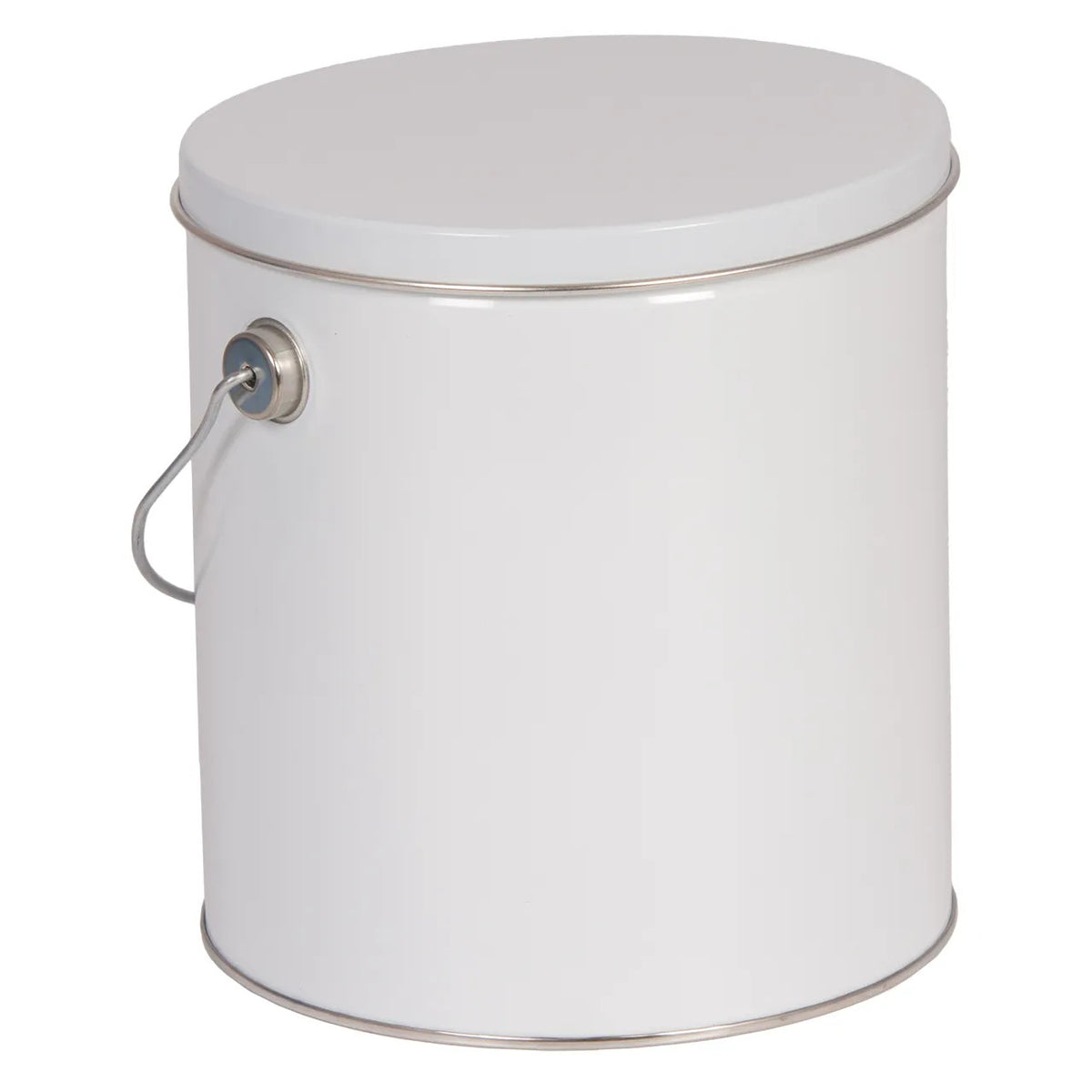 Atlantic Can White 1 Gallon Cans with Handle 8SWW 6 11/16" x 7 1/4 ...